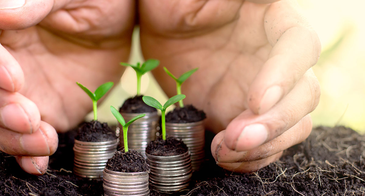 Tendance des placements financiers en France - Financ'ile